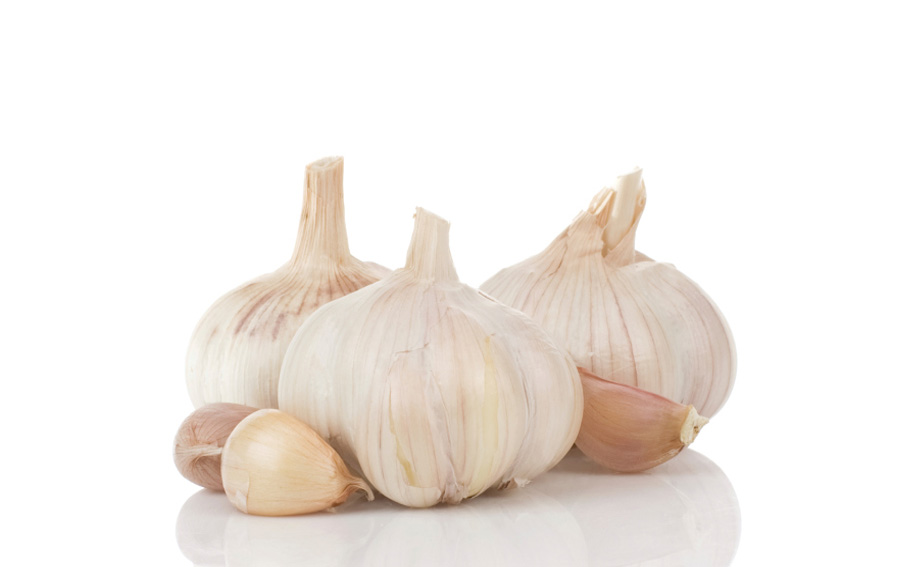 garlic exporter from egypt - garic exporter - grade one garlic
